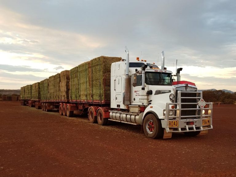 HEAVY HAULAGE AND GENERAL FREIGHT TRANSPORT SERVICES | Bruce Avery